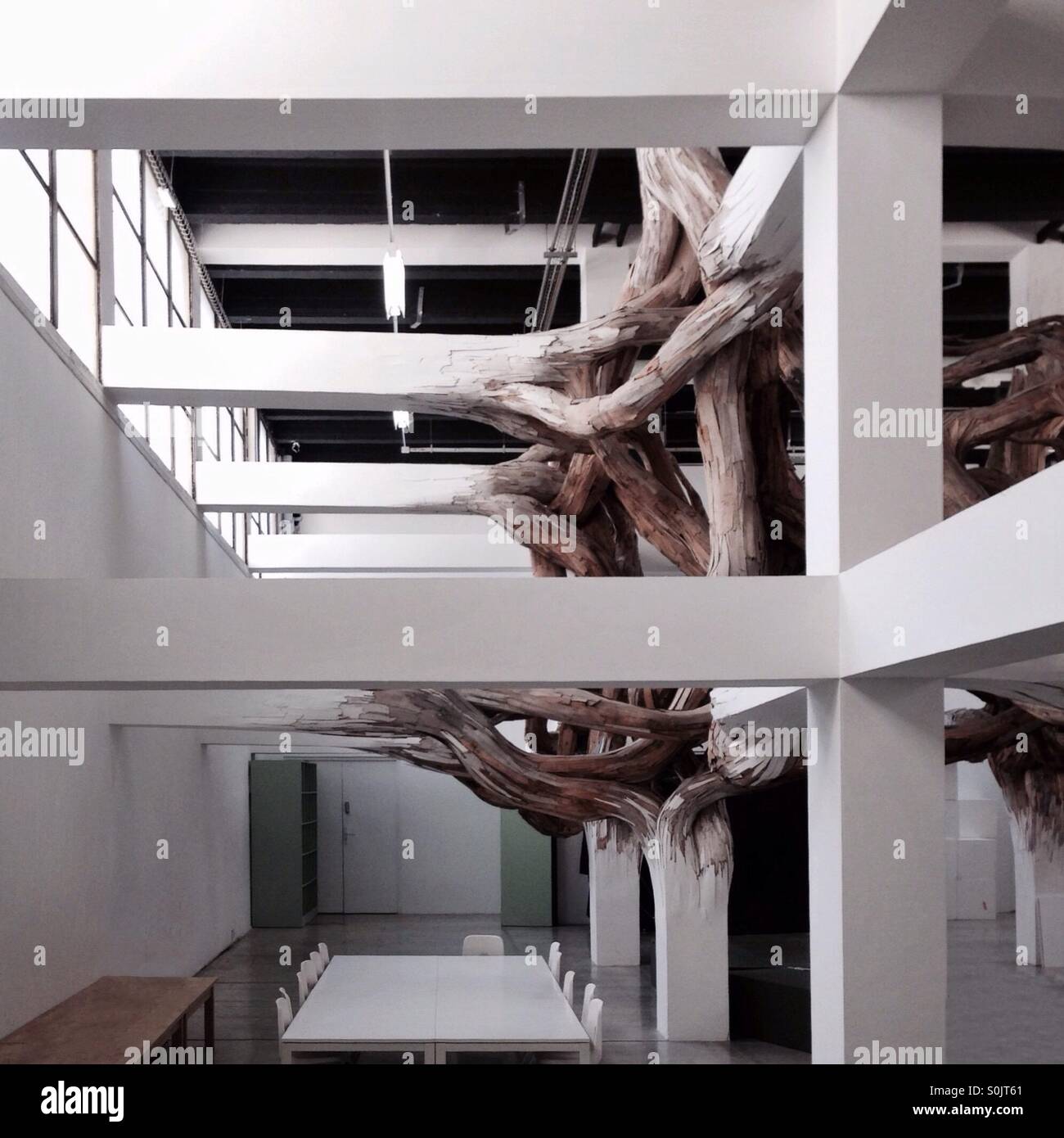 Architecture meets nature Stock Photo - Alamy