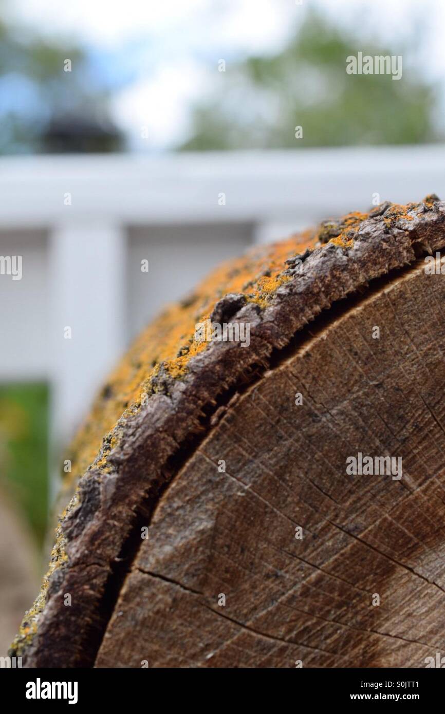 Dry wood fence hi-res stock photography and images - Alamy