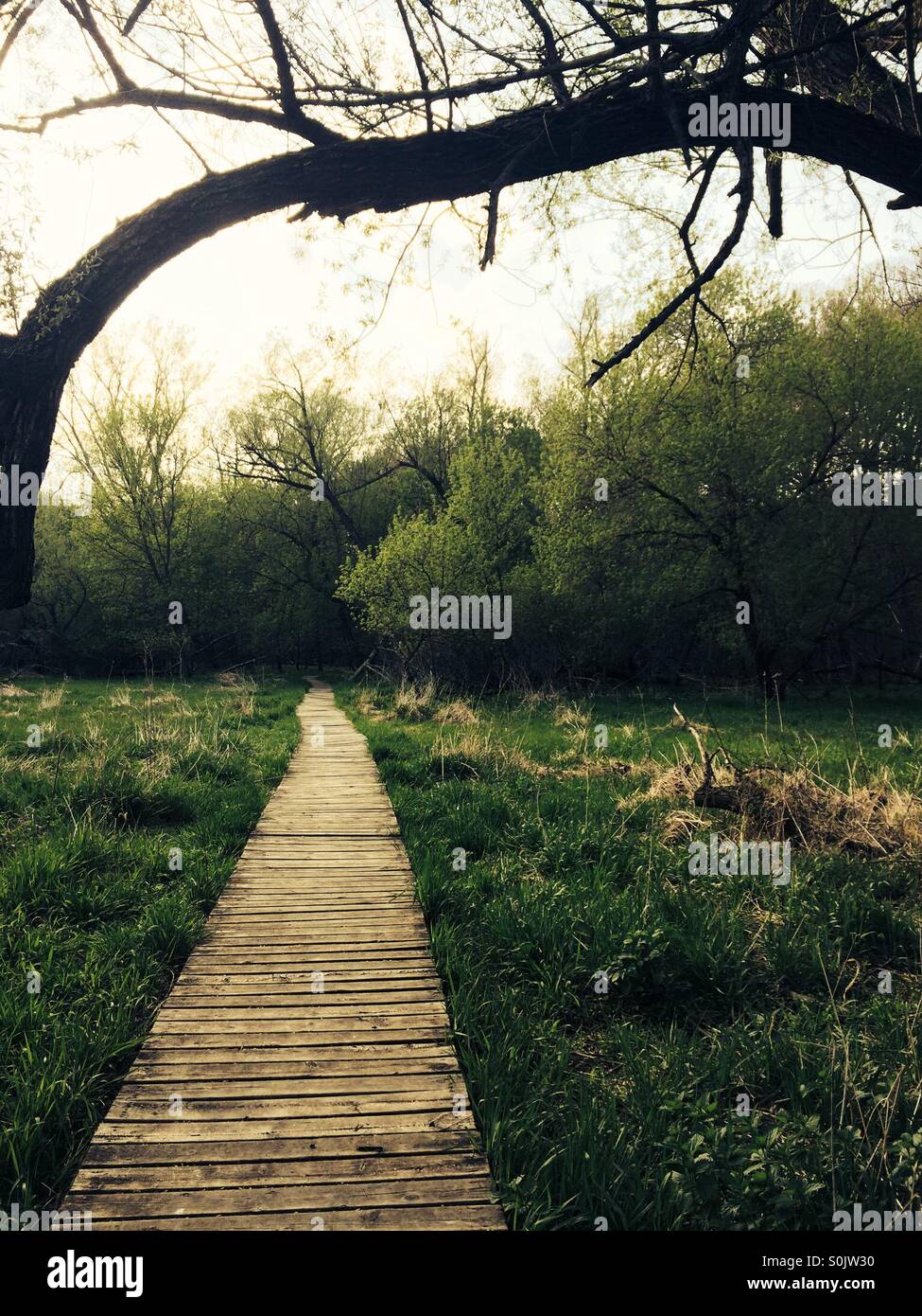 Hidden path hi-res stock photography and images - Alamy