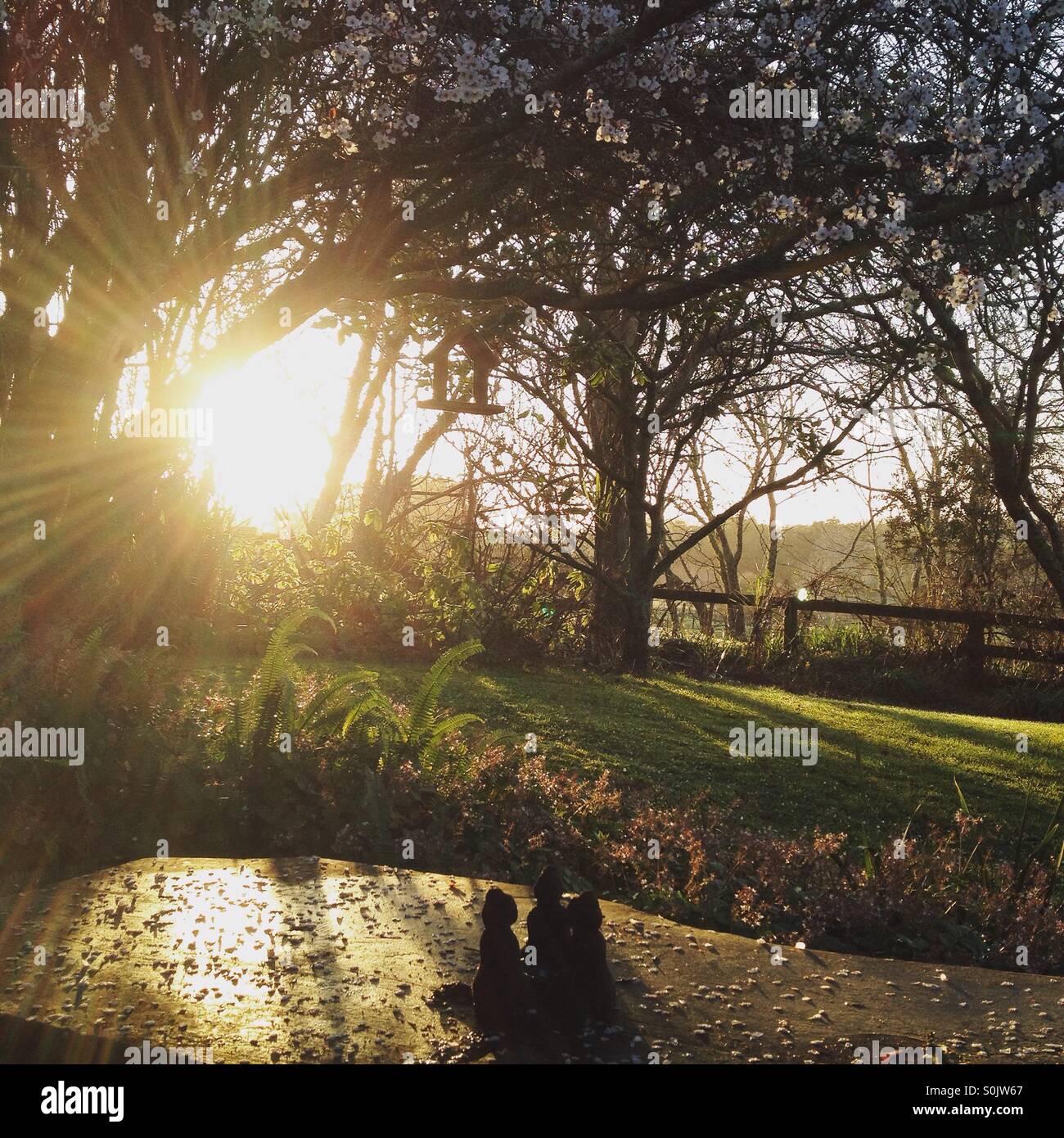 Happy mornings hi-res stock photography and images - Alamy