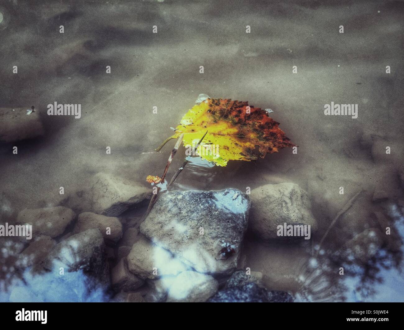 Stones floating in water hi-res stock photography and images - Alamy