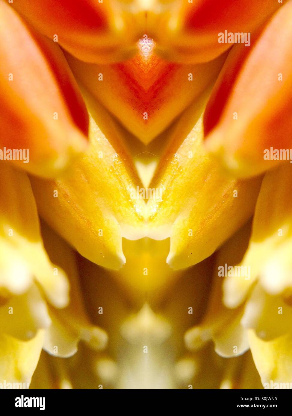 Symmetrical flower decor hi-res stock photography and images - Alamy