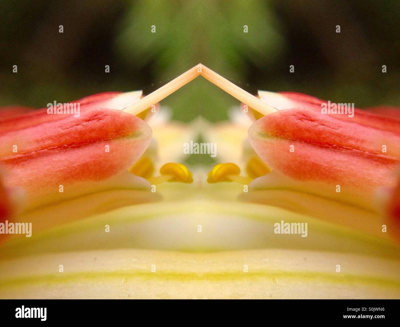 Symmetrical flower decor hi-res stock photography and images - Alamy