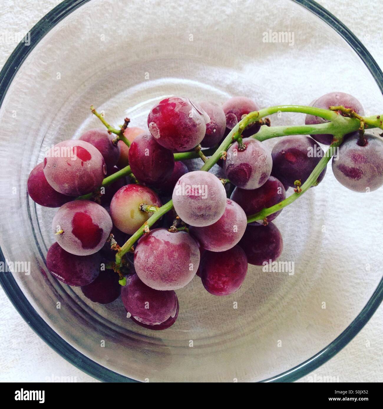 Frozen Grapes High Resolution Stock Photography and Images - Alamy