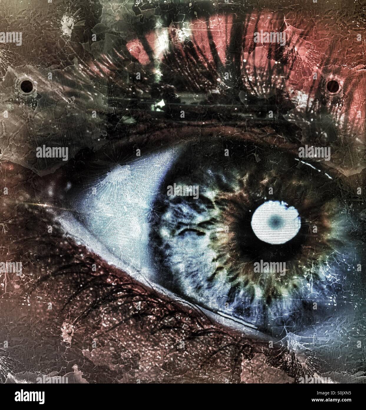 Pupil reflection hi-res stock photography and images - Alamy