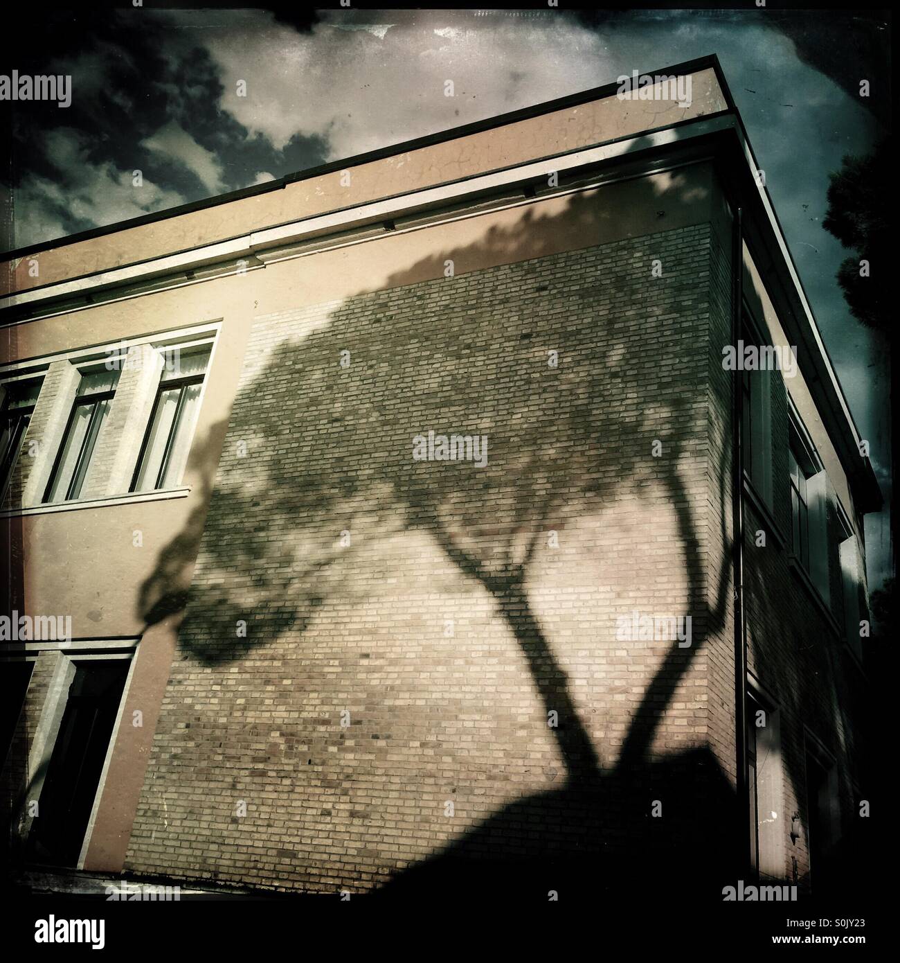 Shadow of tree on a building Stock Photo - Alamy