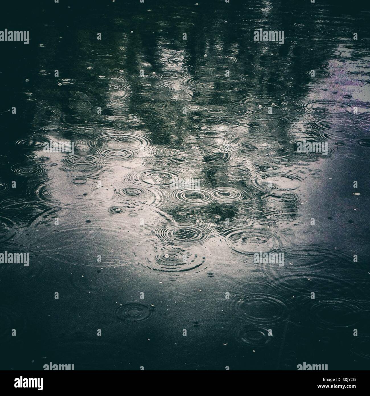 Raindrops on water Stock Photo - Alamy