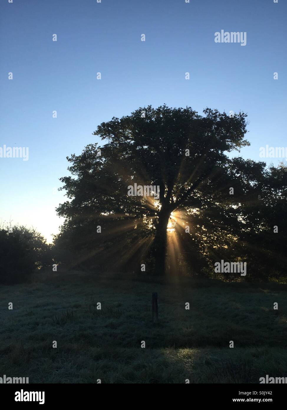 Chingford hi-res stock photography and images - Alamy Chingford hi-res stock photography and images - Alamy