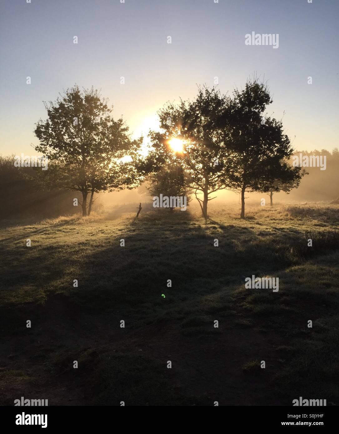 Chingford london hi-res stock photography and images - Alamy