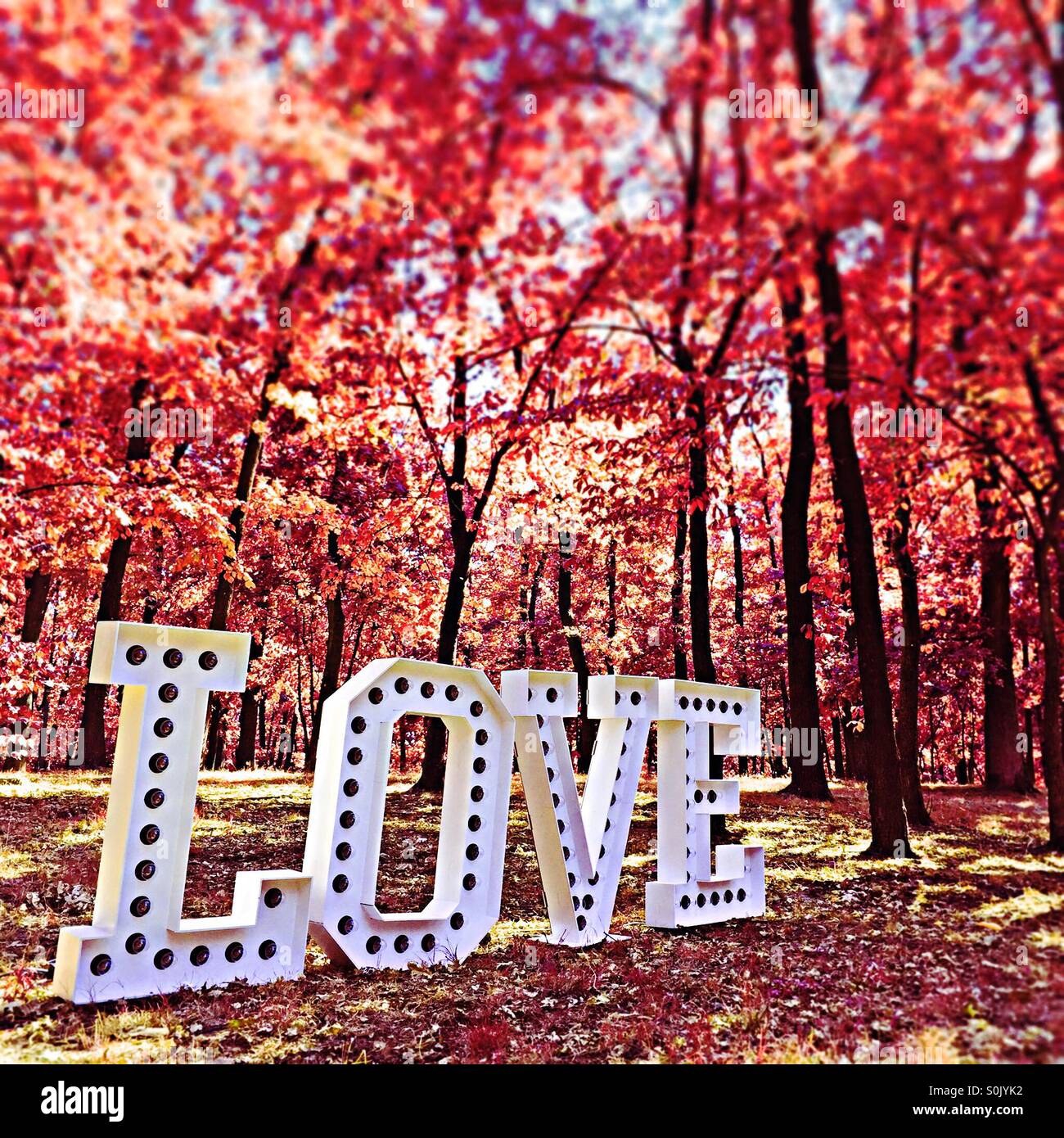 The Park Of Letters High Resolution Stock Photography and Images - Alamy