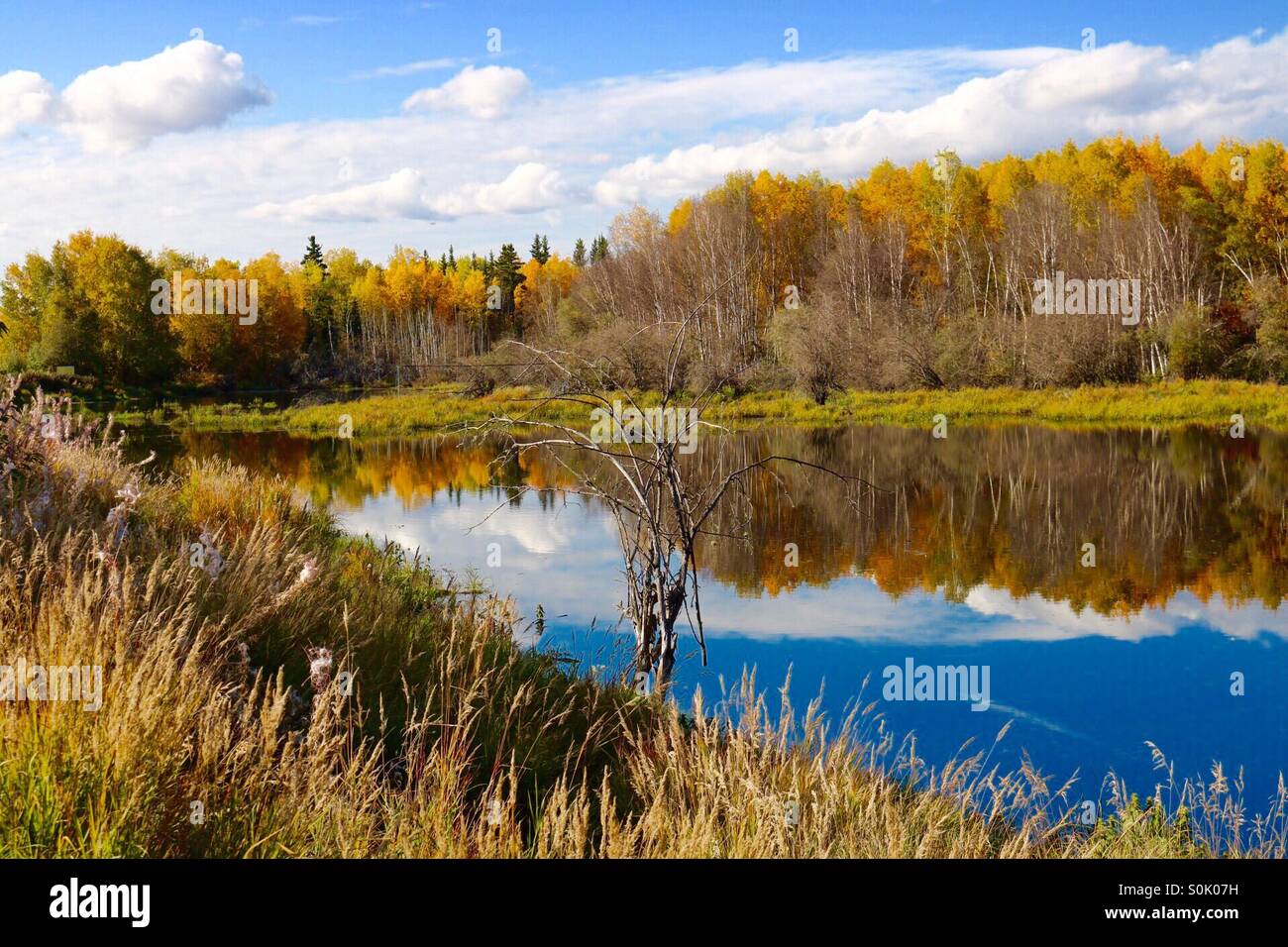 Beautiful fall day Stock Photo - Alamy