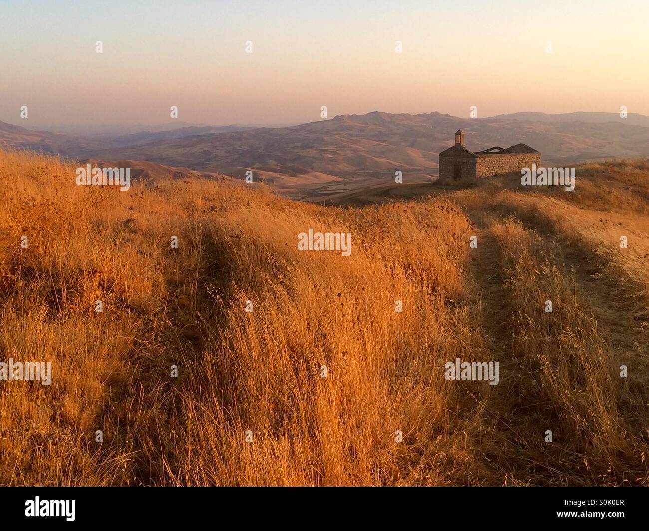 Fields of gold hi-res stock photography and images - Alamy