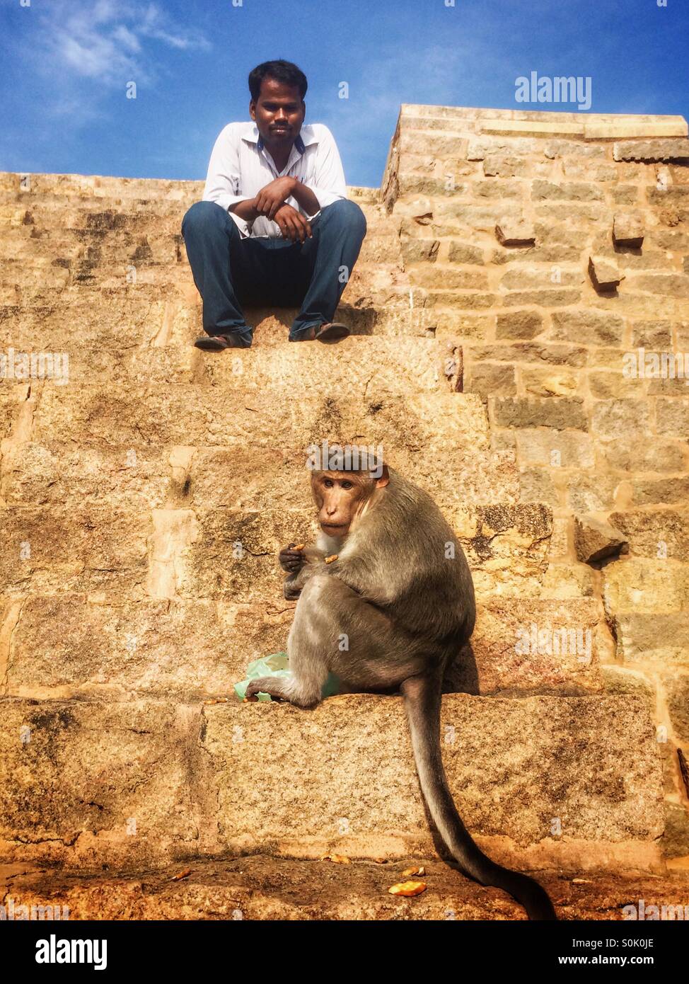 Monkey and human hi-res stock photography and images - Alamy