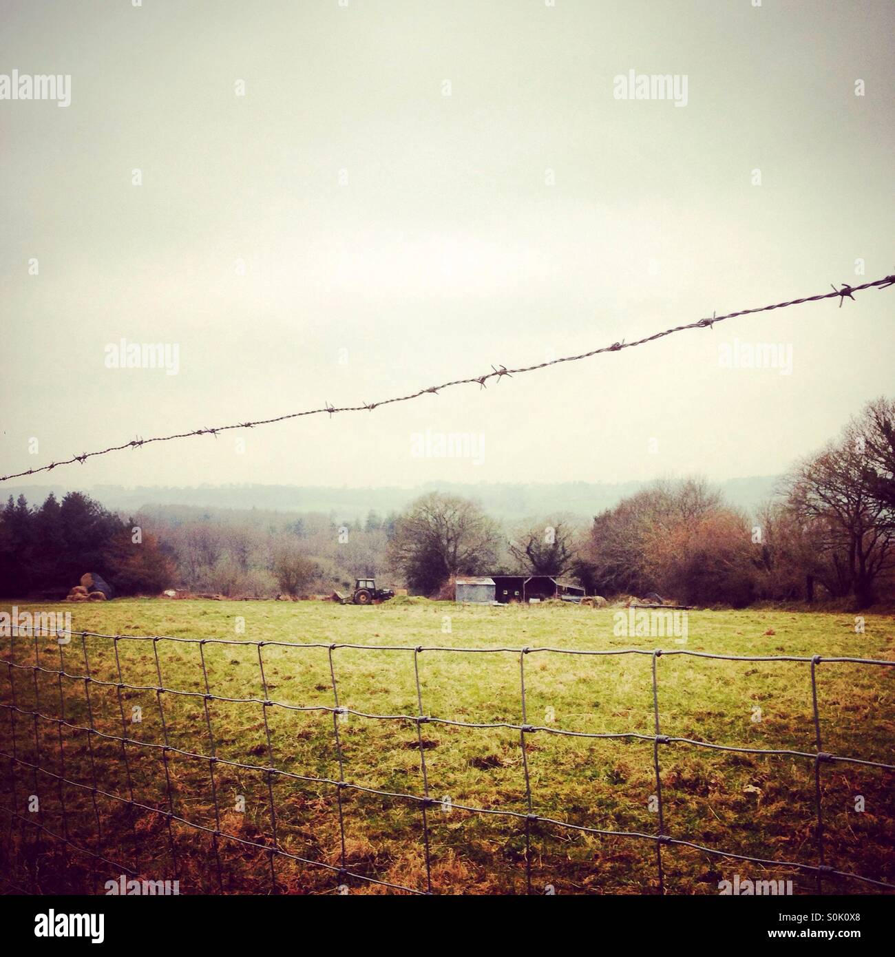 Barbed wire, France Stock Photo - Alamy