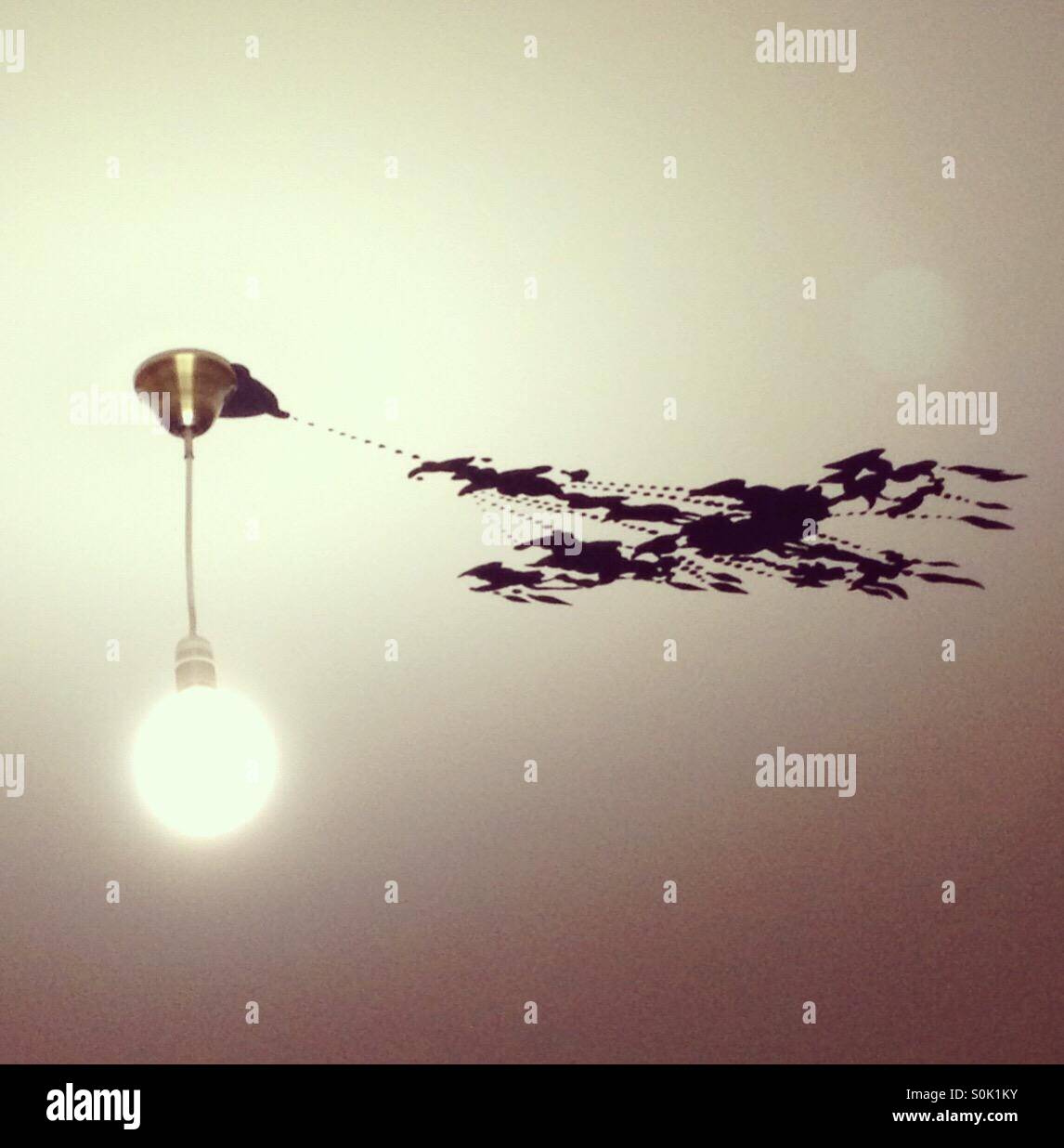 Wrong idea hi-res stock photography and images - Alamy