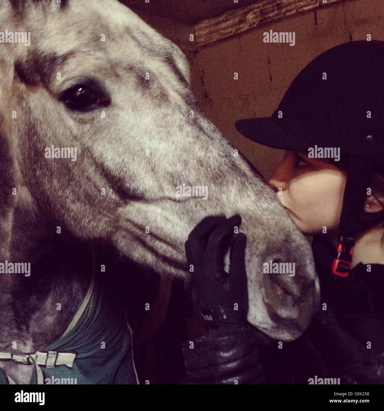 Horse kiss hi-res stock photography and images - Alamy