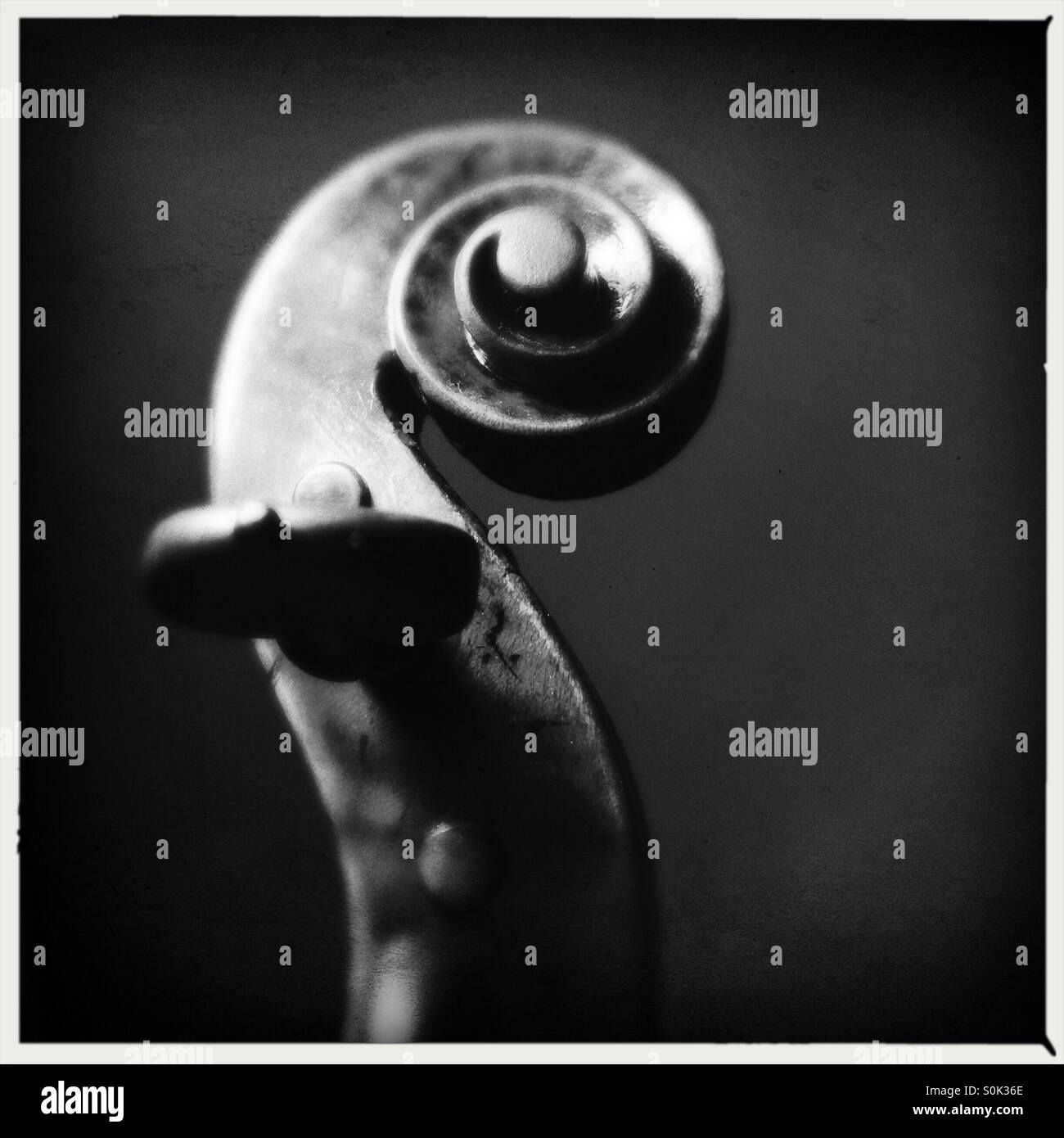 Violin scroll hi-res stock photography and images - Alamy