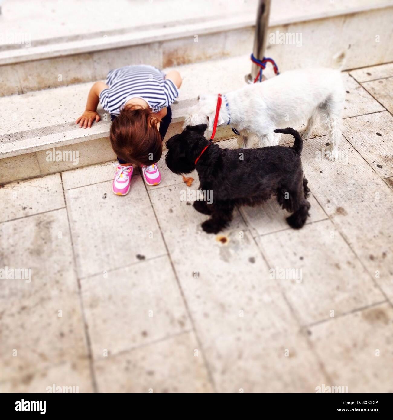 Girl and dogs hi-res stock photography and images - Alamy
