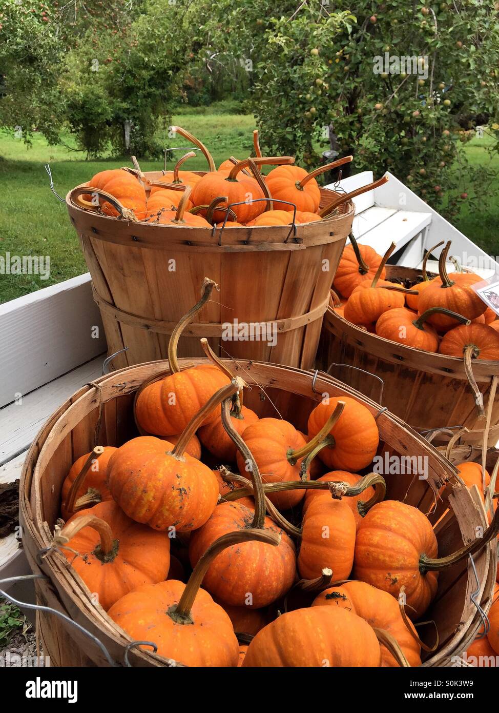 Farmers Stand High Resolution Stock Photography and Images - Alamy