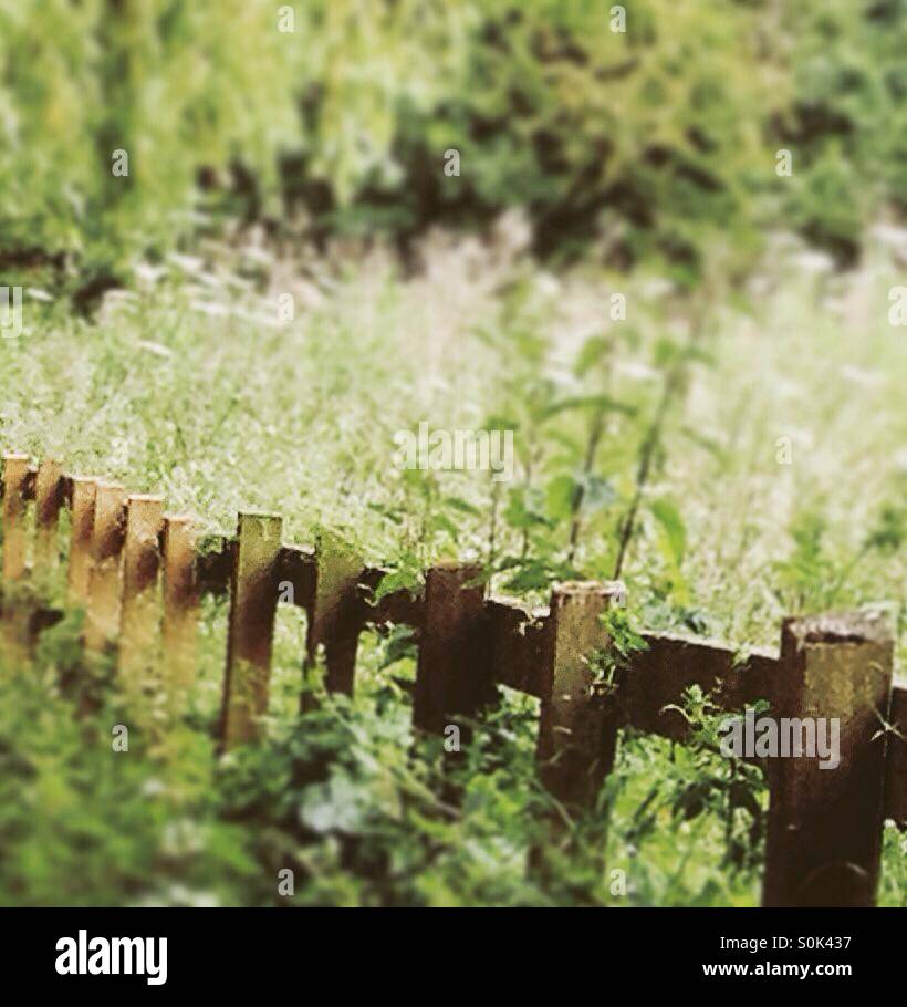 Field border hi-res stock photography and images - Alamy