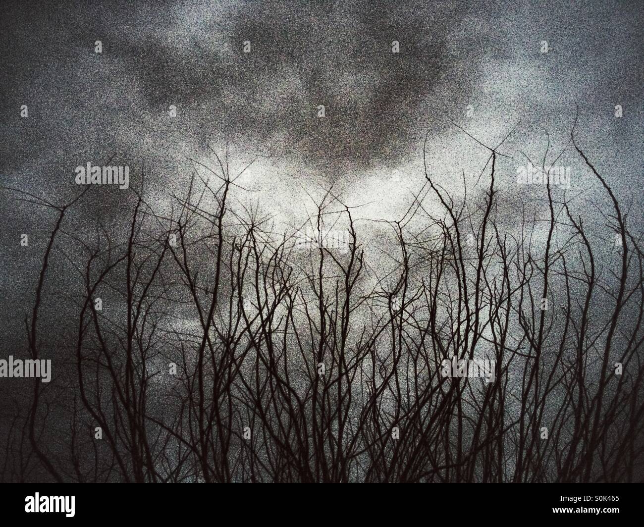Moody tree art hi-res stock photography and images - Alamy