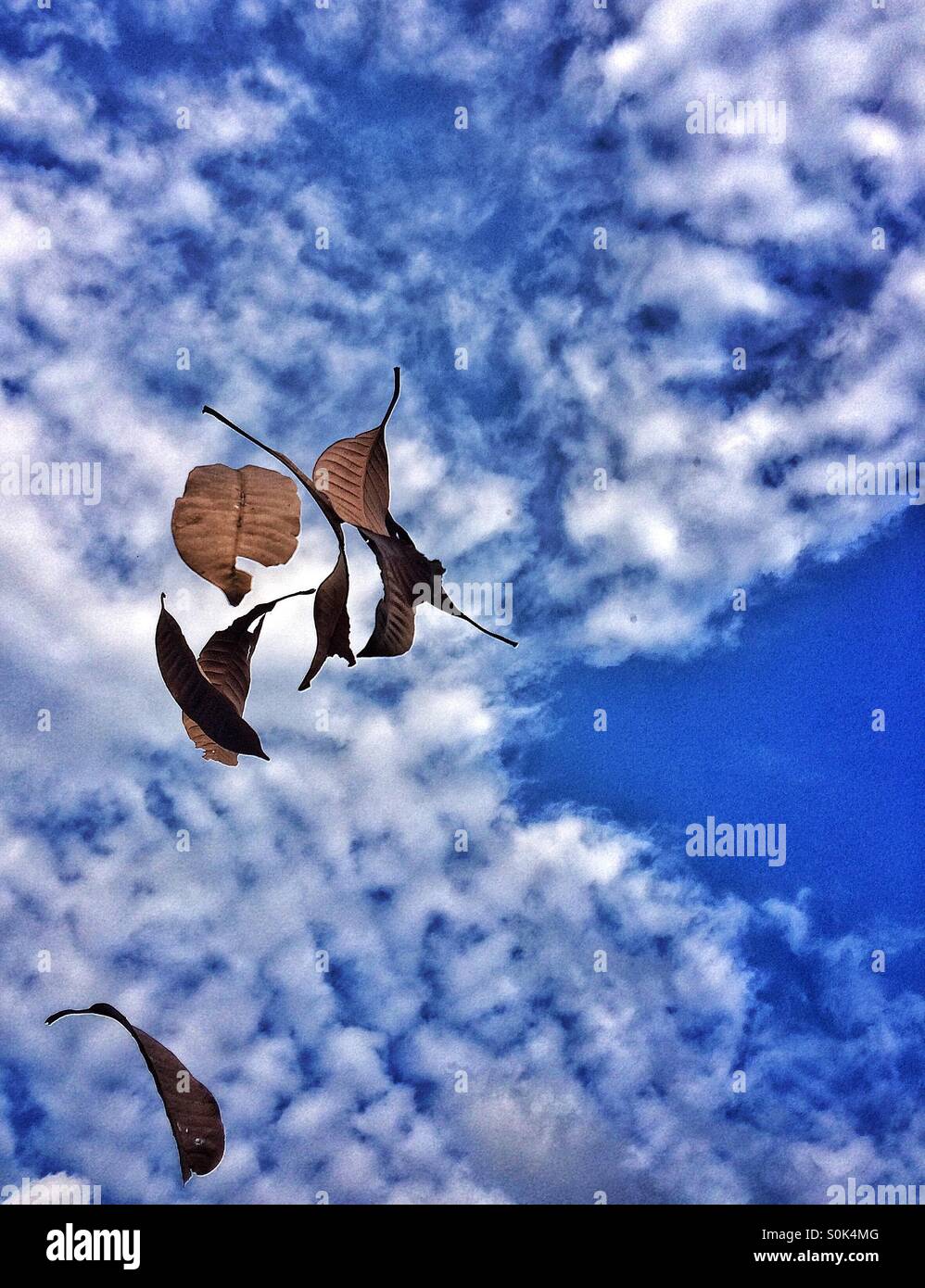 To fall from the sky hi-res stock photography and images - Alamy