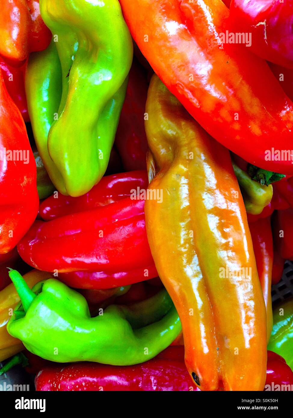 Colorful sweet Italian peppers Stock Photo - Alamy