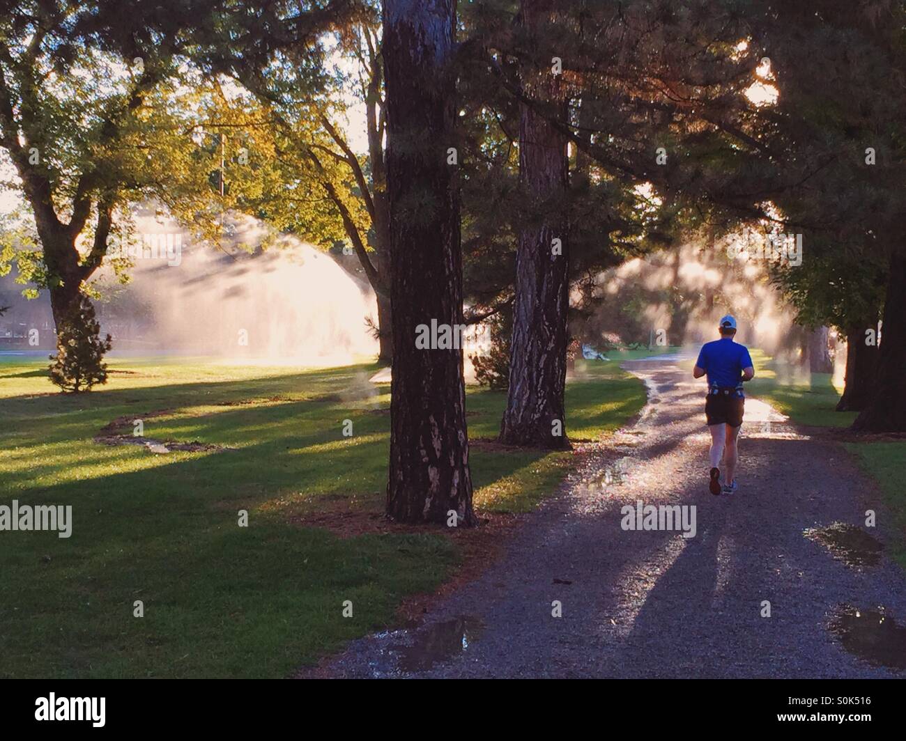 Jogging on a path through sprinklers Stock Photo - Alamy