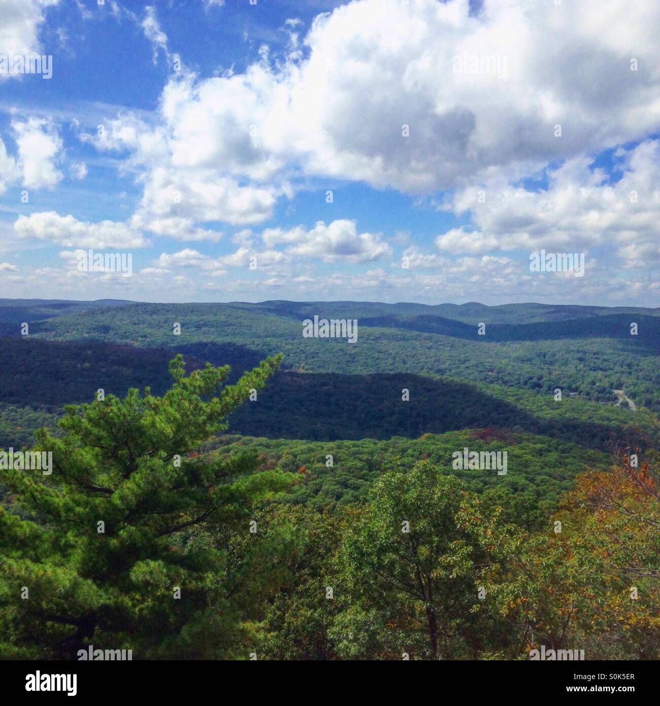 Appalachian trail bear hi-res stock photography and images - Alamy