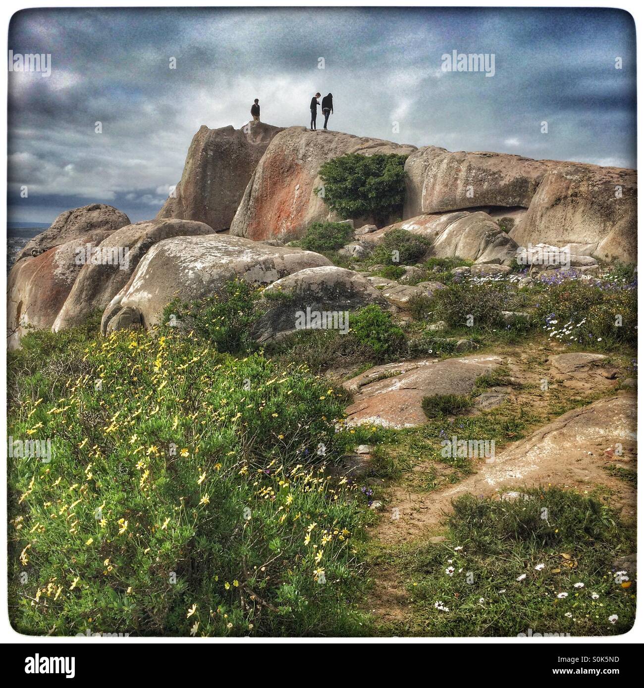 Postberg nature reserve hi-res stock photography and images - Alamy