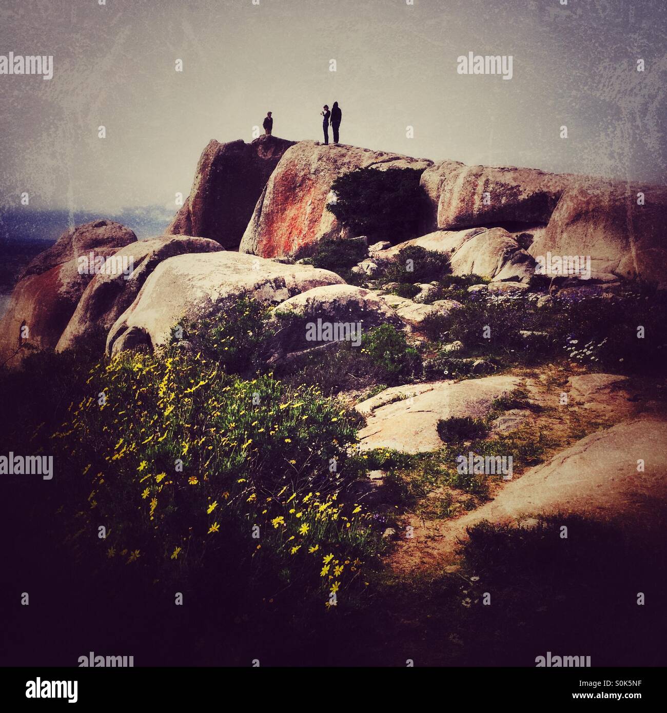 Postberg High Resolution Stock Photography and Images - Alamy