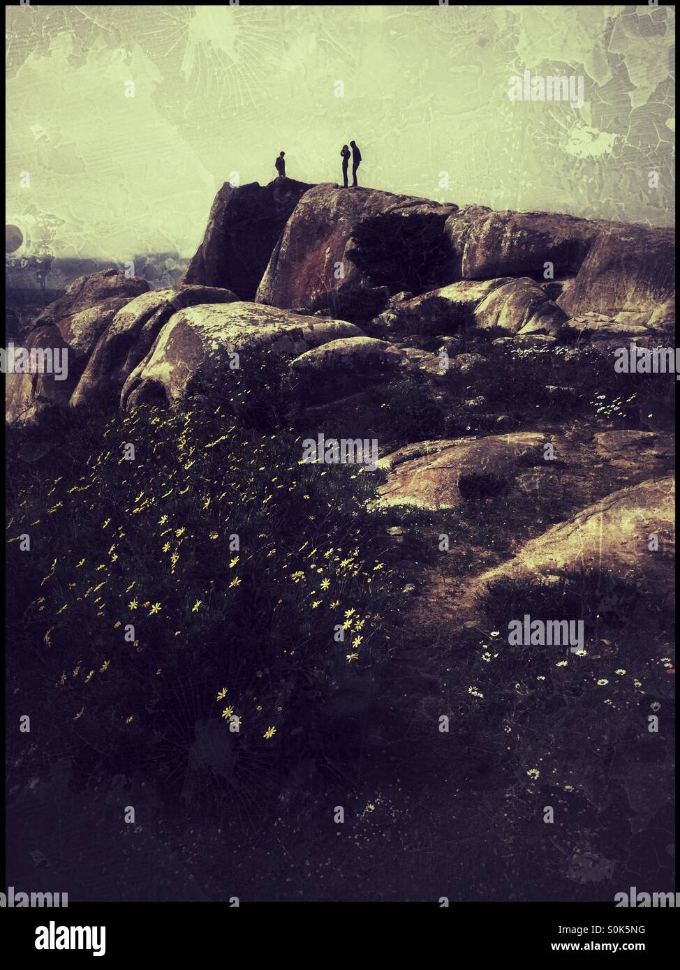 Postberg nature reserve hi-res stock photography and images - Alamy