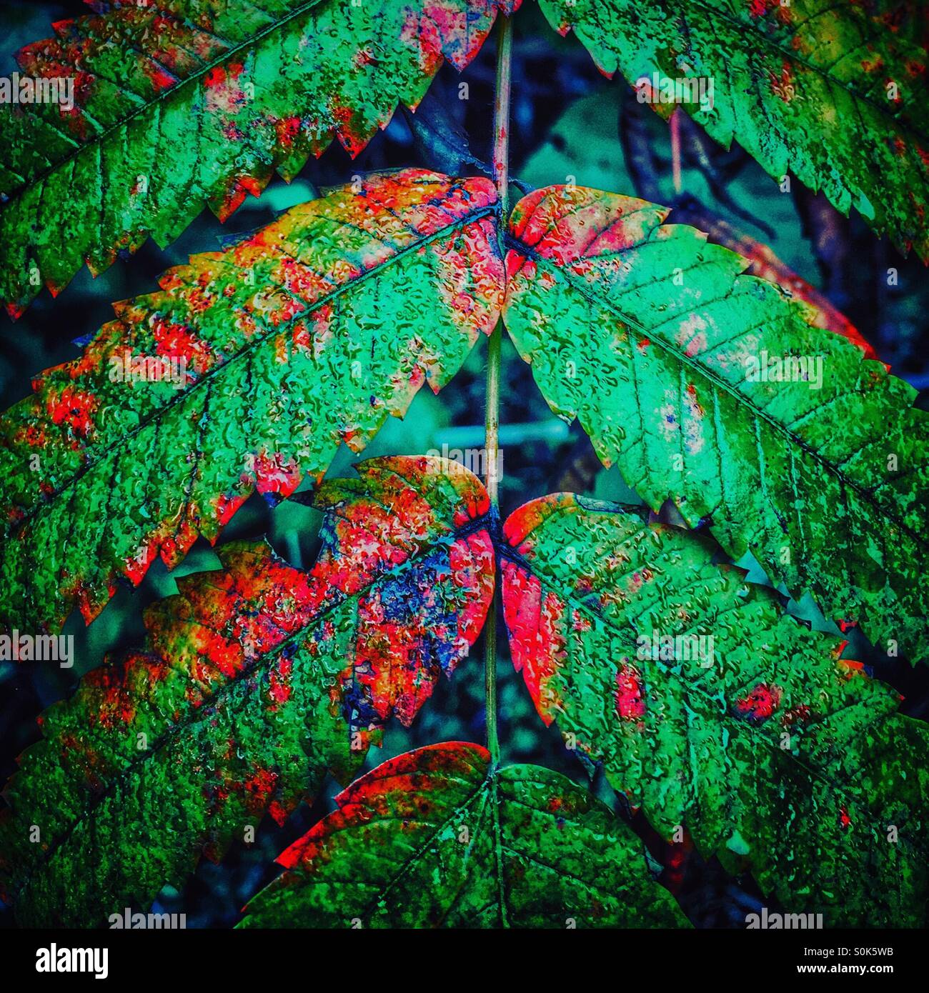 Change to pattern hi-res stock photography and images - Alamy