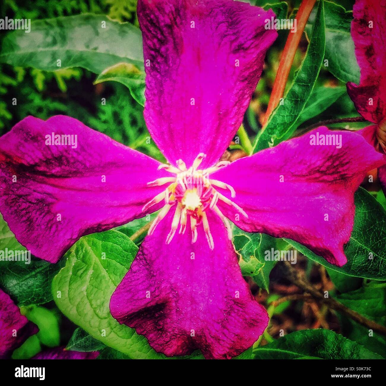 Go Beyond High Resolution Stock Photography and Images - Alamy