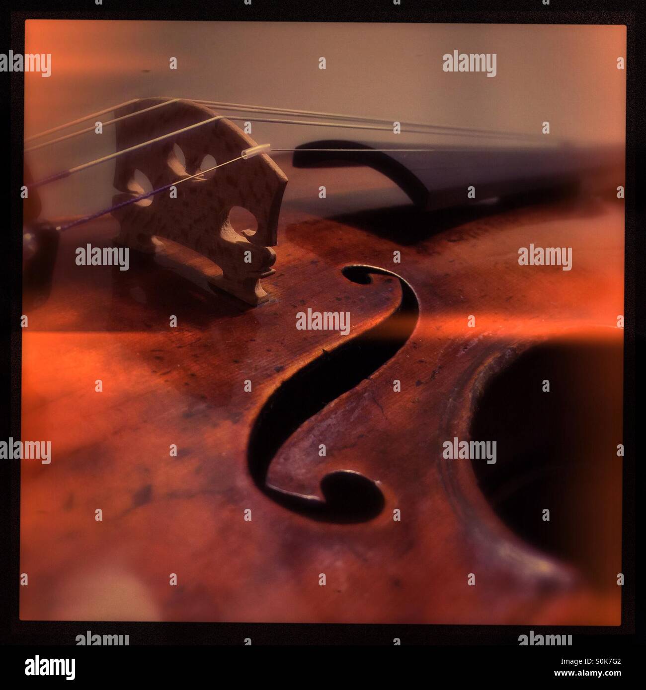 Close up violin bridge strings hi-res stock photography and images - Alamy