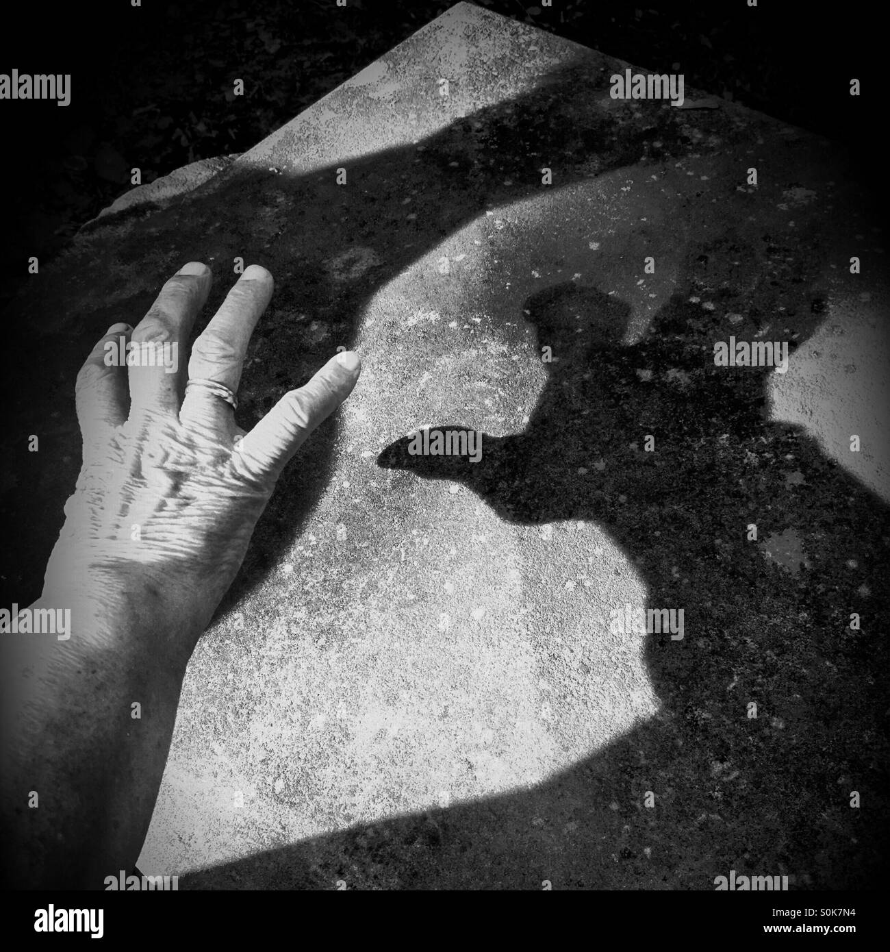 Human palm Black and White Stock Photos & Images - Alamy