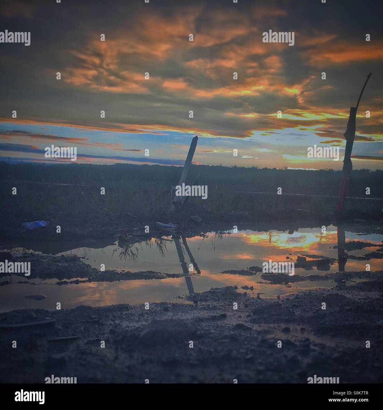 Puddle sun hi-res stock photography and images - Alamy