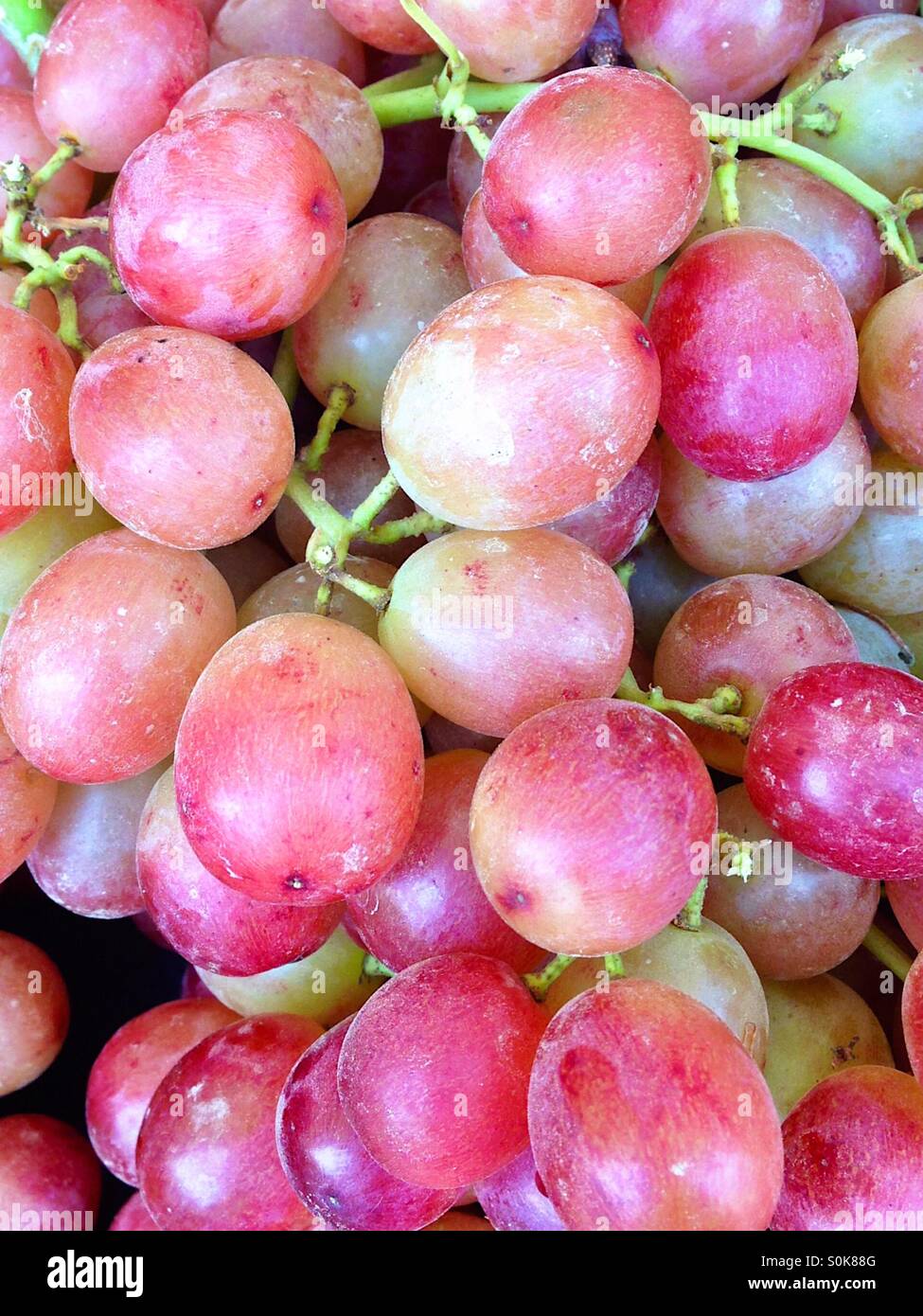 Purple table grapes Stock Photo - Alamy