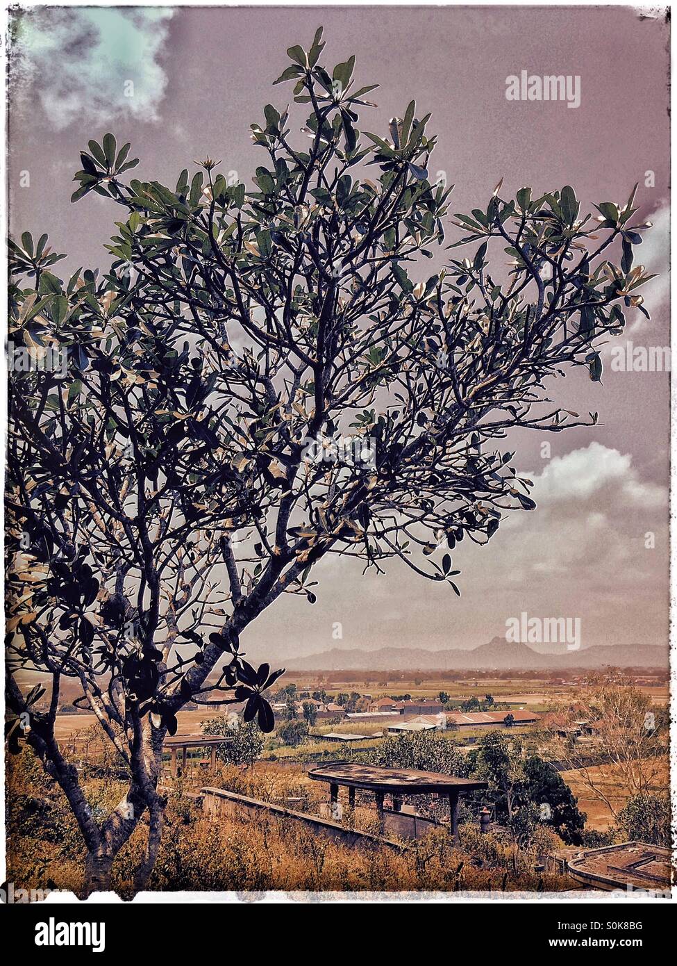 Mbolo hi-res stock photography and images - Alamy