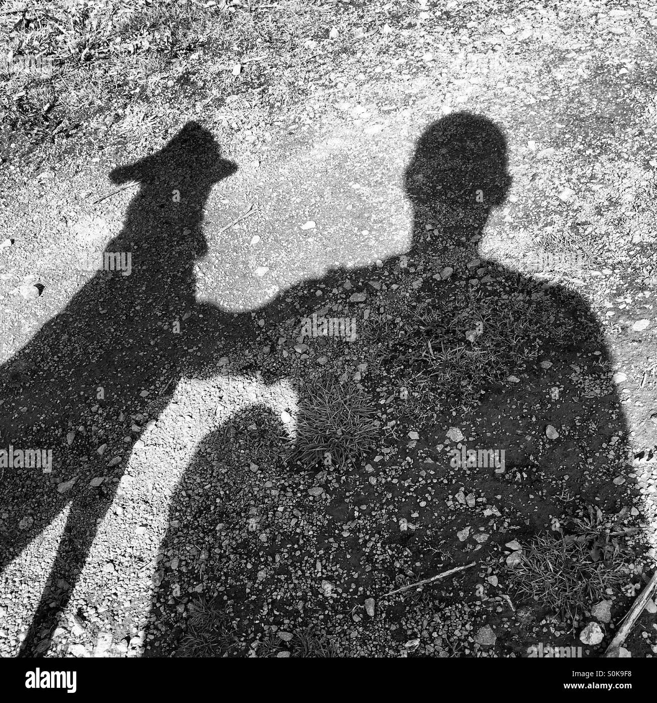 Cast Of Friends High Resolution Stock Photography and Images - Alamy