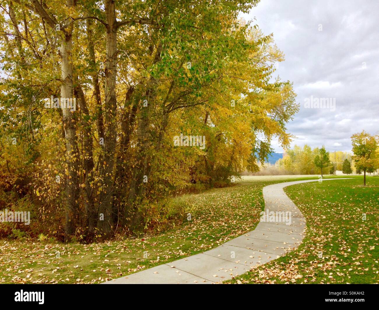 Fall leaves color hi-res stock photography and images - Alamy