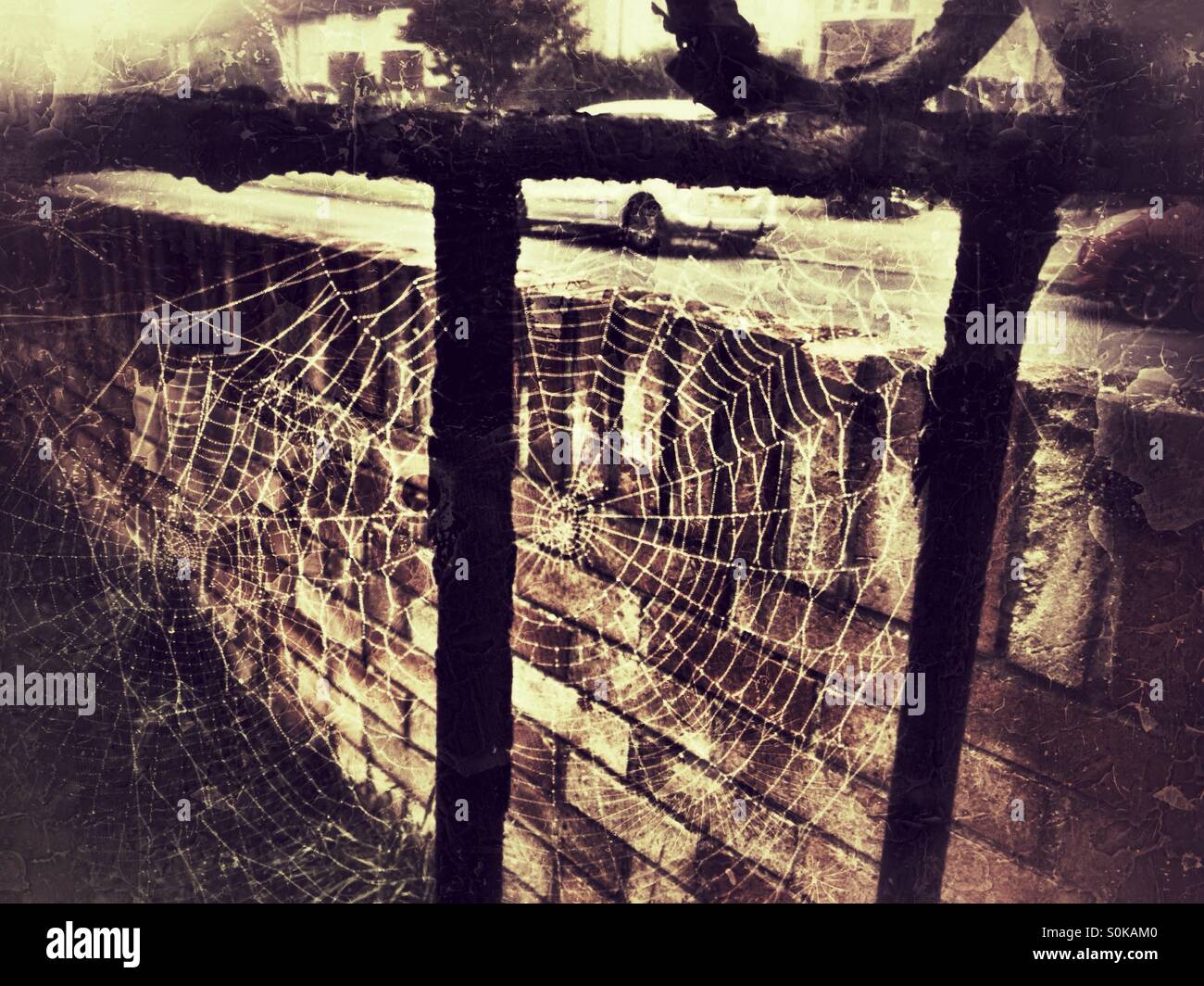 A spider's web in an iron gate Stock Photo - Alamy