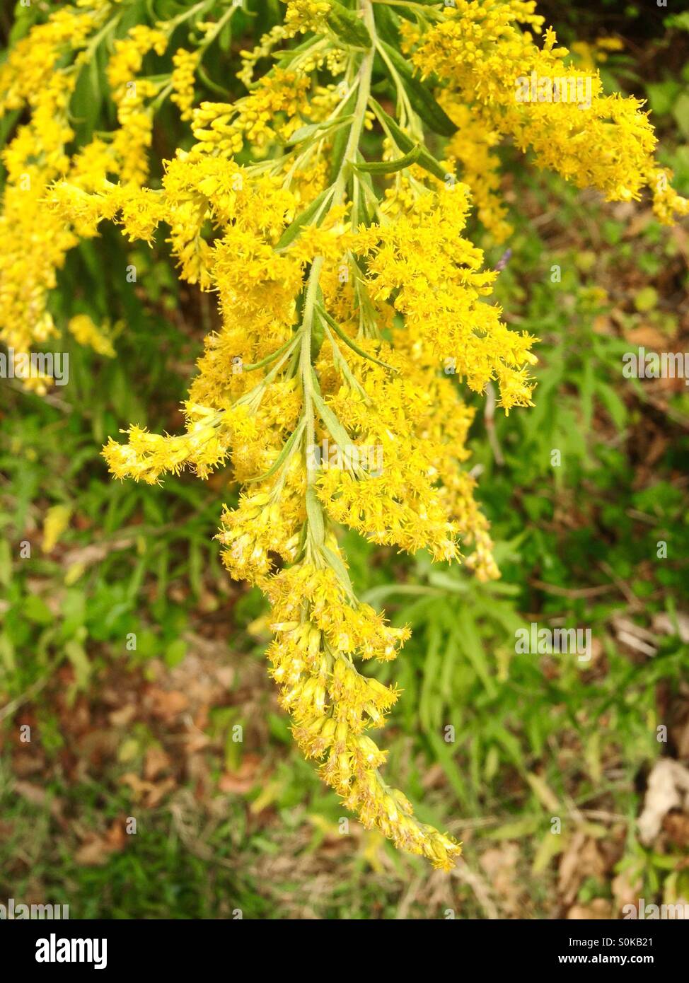 Signs of Fall Stock Photo - Alamy