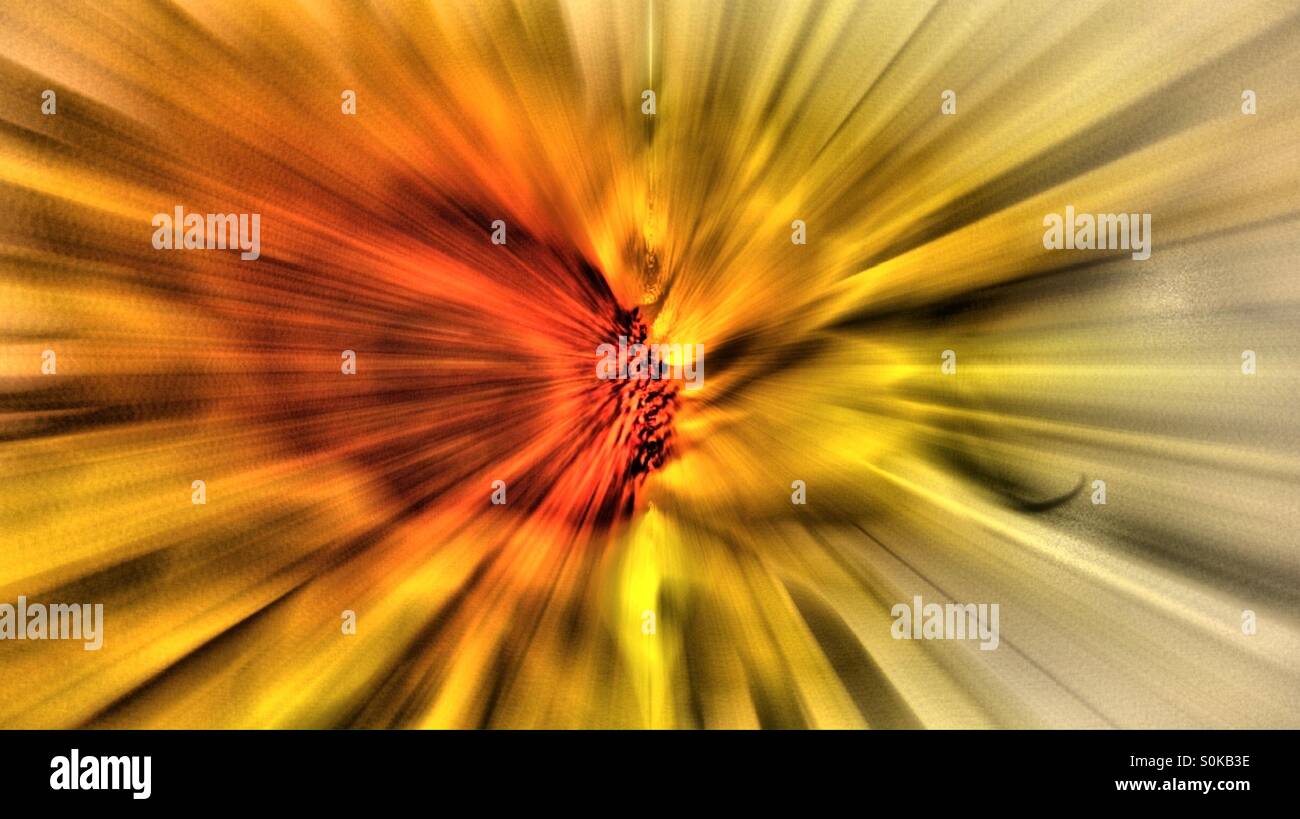 Sunflower in motion Stock Photo - Alamy