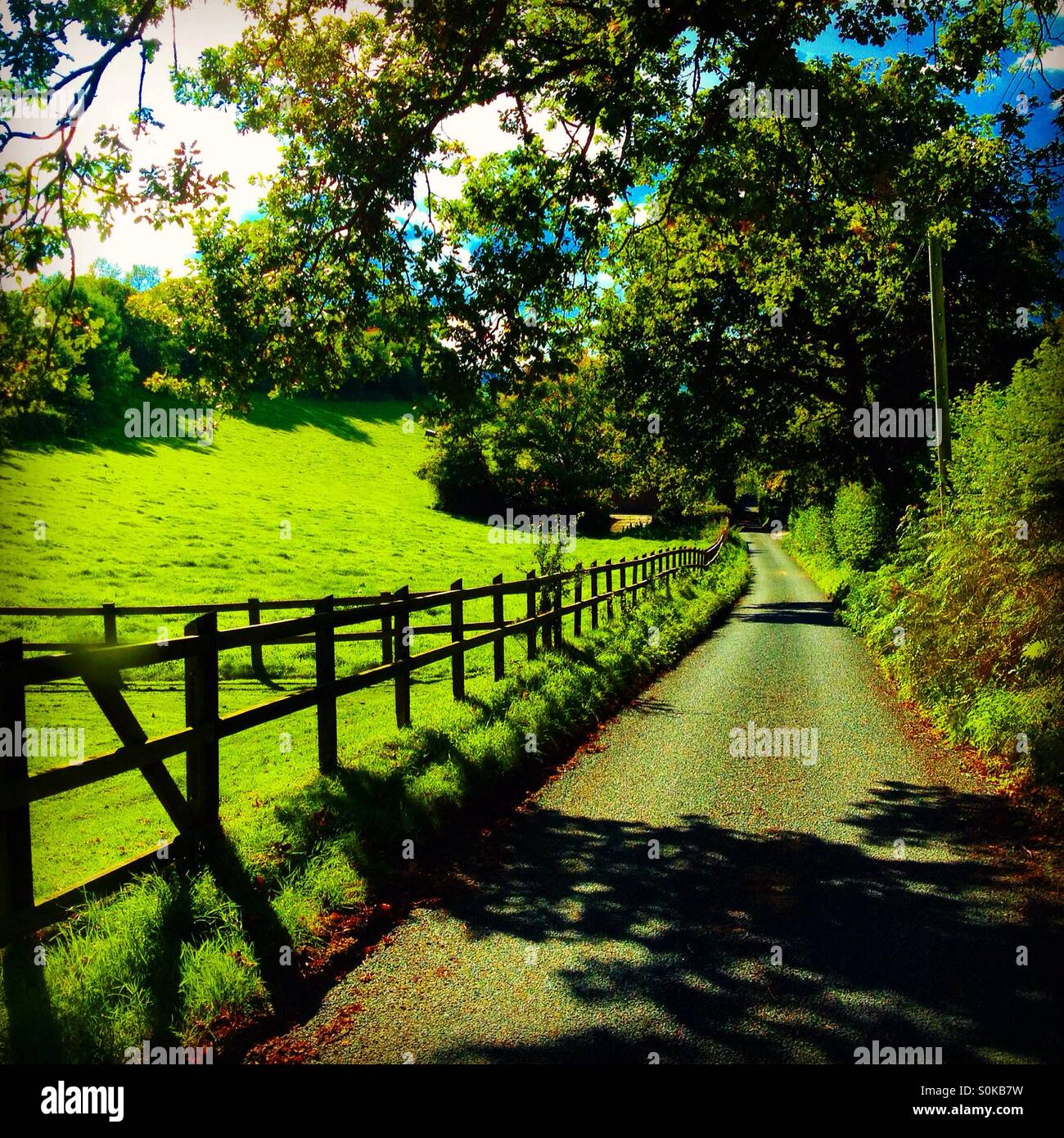 Dorset/Somerset Border, England. Early Autumn. 2015 Stock Photo - Alamy