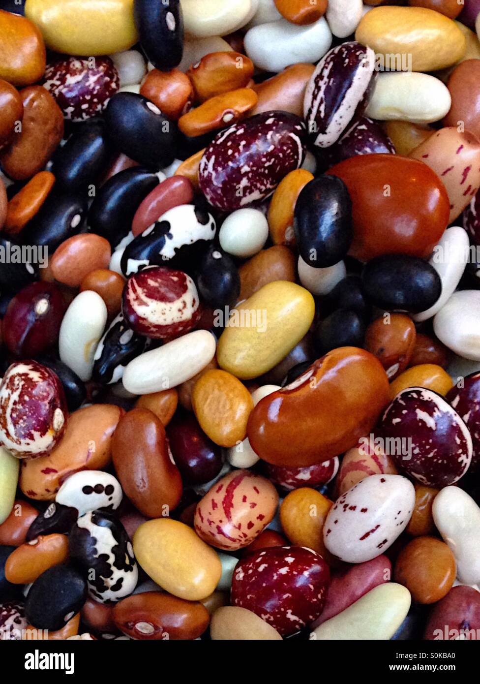 Colorful dry beans Stock Photo - Alamy