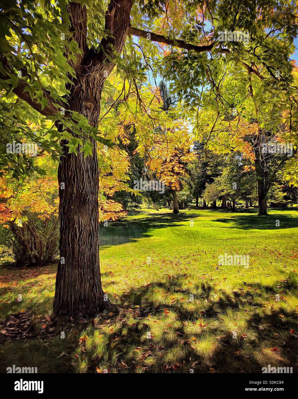Early cemetery smartphone stock photos and images - Alamy