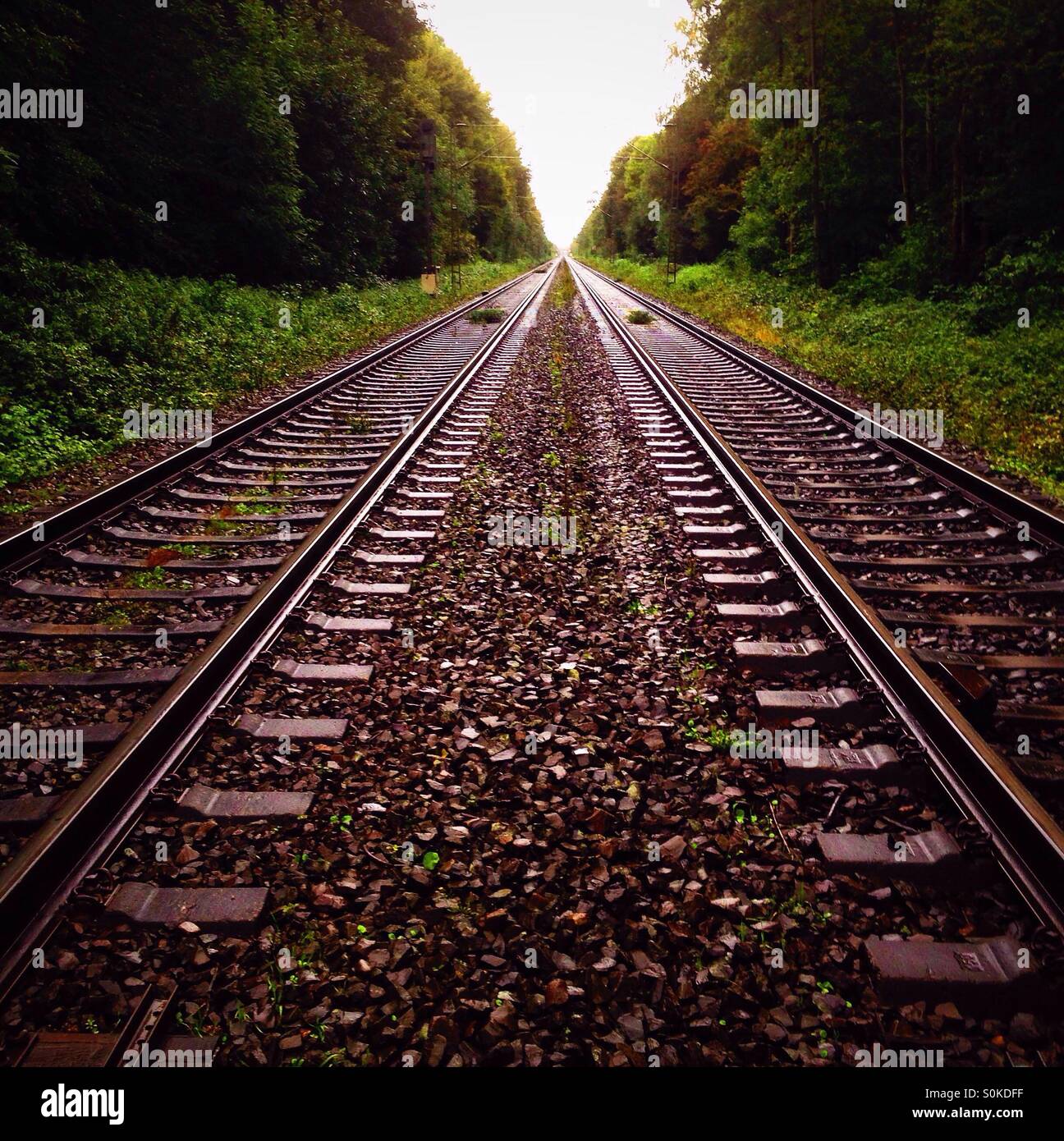 Railroad tracks leading far away Stock Photo - Alamy