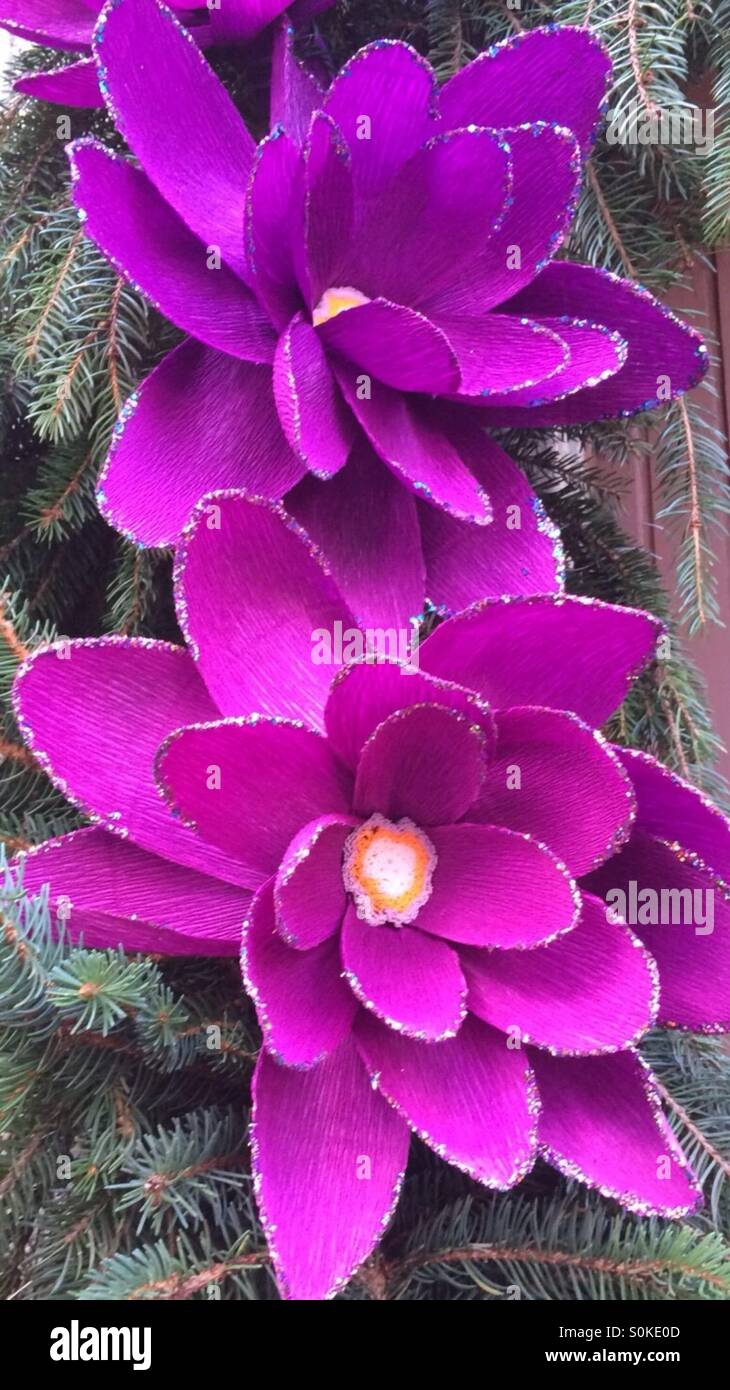 Open flowers hi-res stock photography and images - Alamy