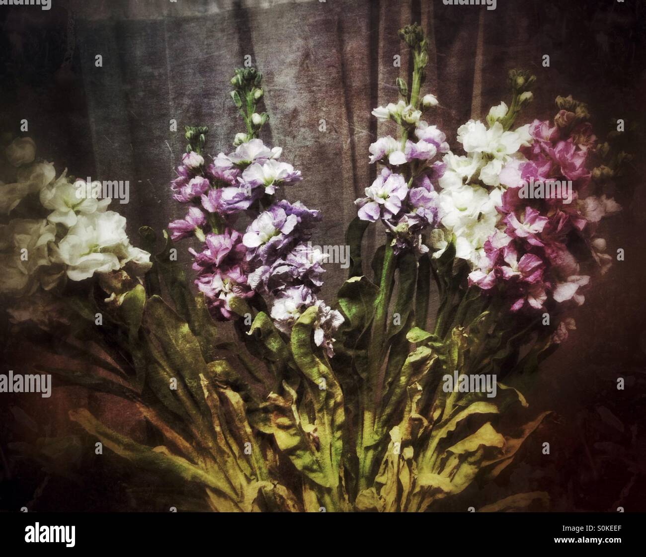 Withered flowers in a vase with grunge feel Stock Photo - Alamy